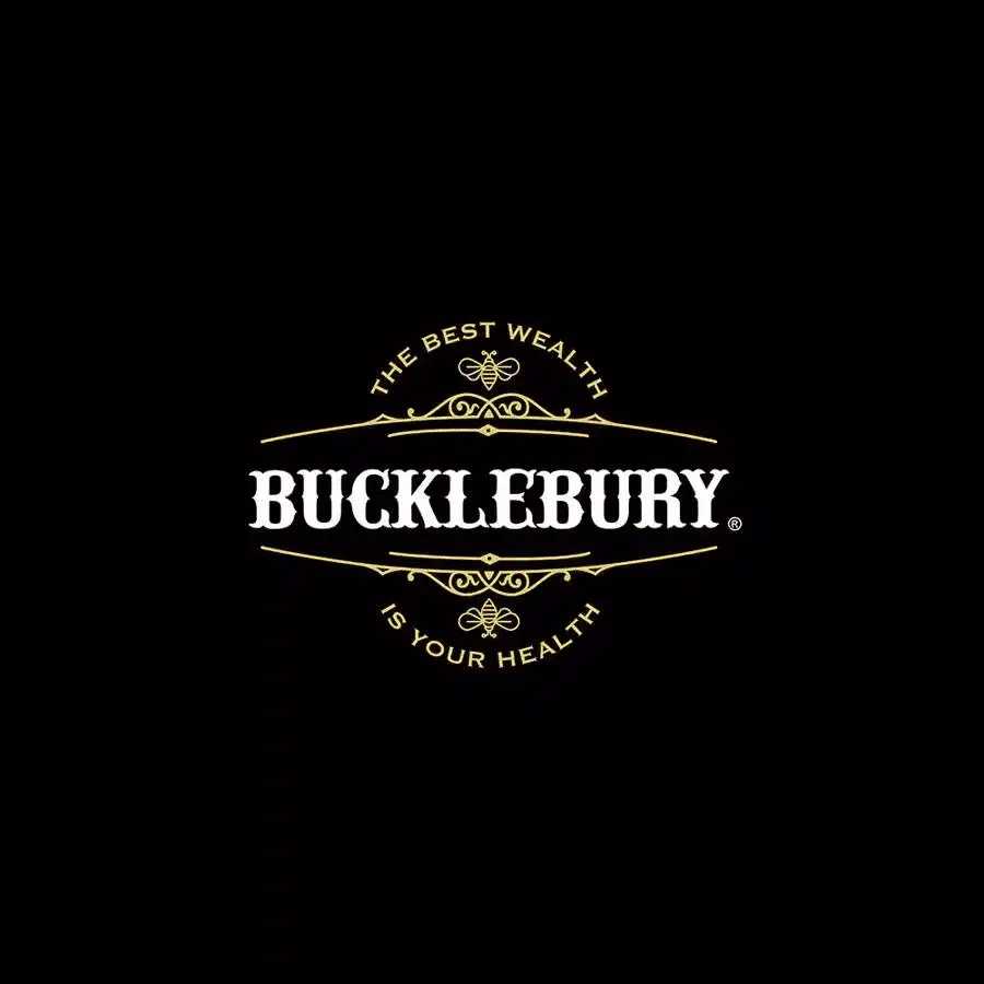 Best Digital Marketing Agency in 2024 - BLS Consulting